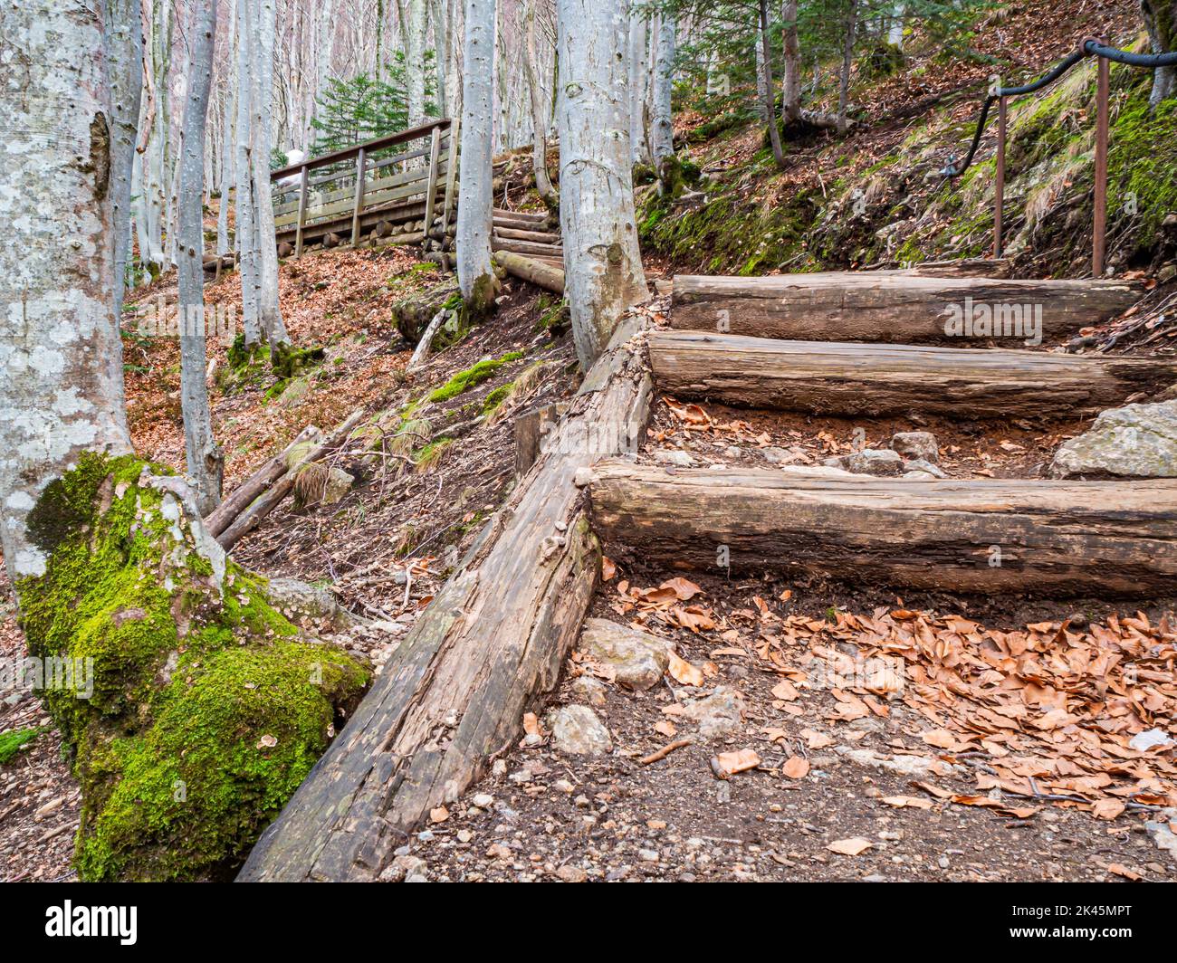 Mountain trail in the woods with a wooden railing on a rocky surface ...