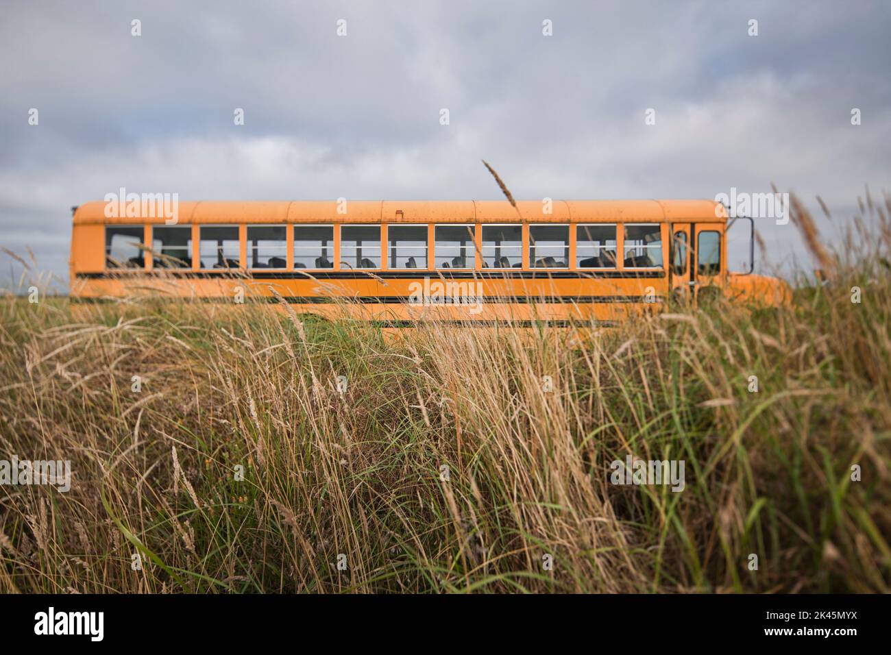 Empty school bus in grassland Stock Photo - Alamy