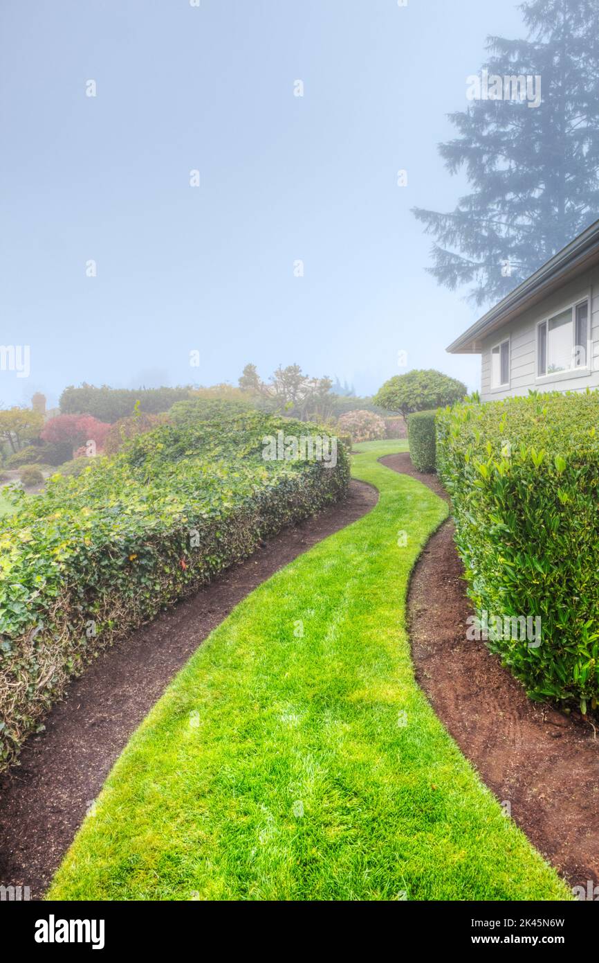 Fog path hedge hi-res stock photography and images - Alamy