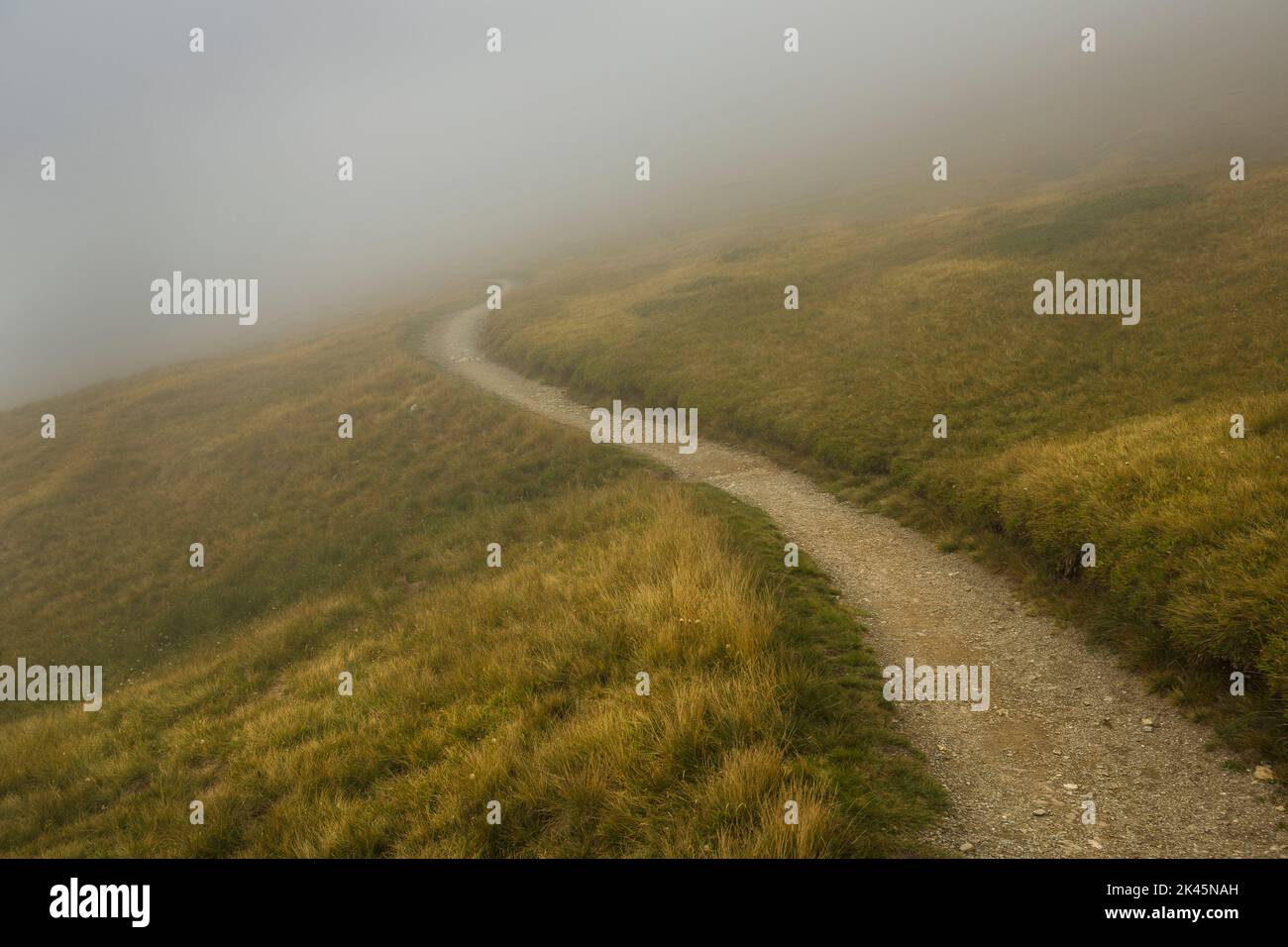 A mountain path, reaching ahead, through low cloud and mist in the Alps ...