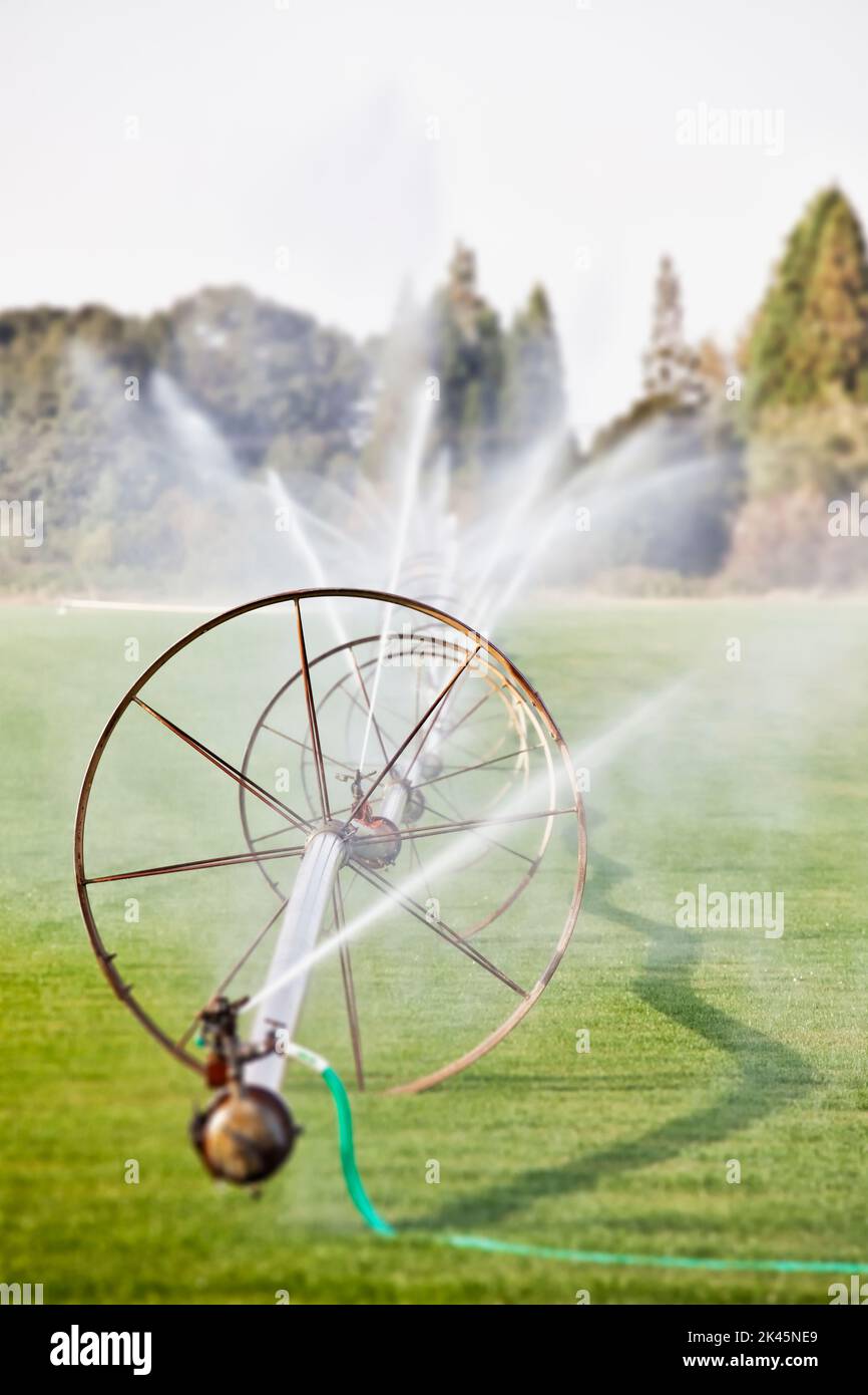 Water hoses on round frames spraying water jets in a field, commercial ...
