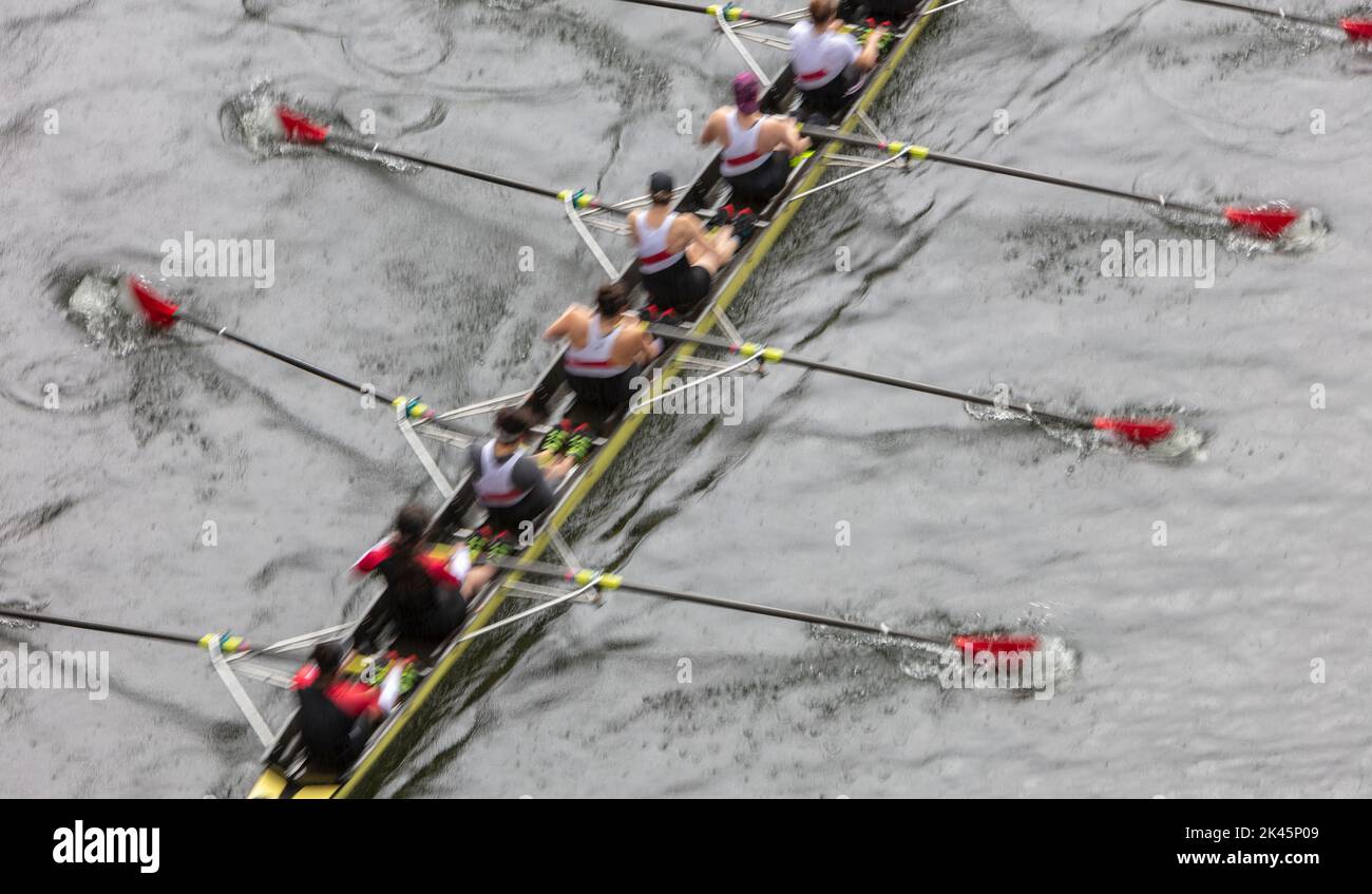 Overhead view of a crew rowing in an octuple racing shell boat, rowers ... Overhead view of a crew rowing in an octuple racing shell boat, rowers ...