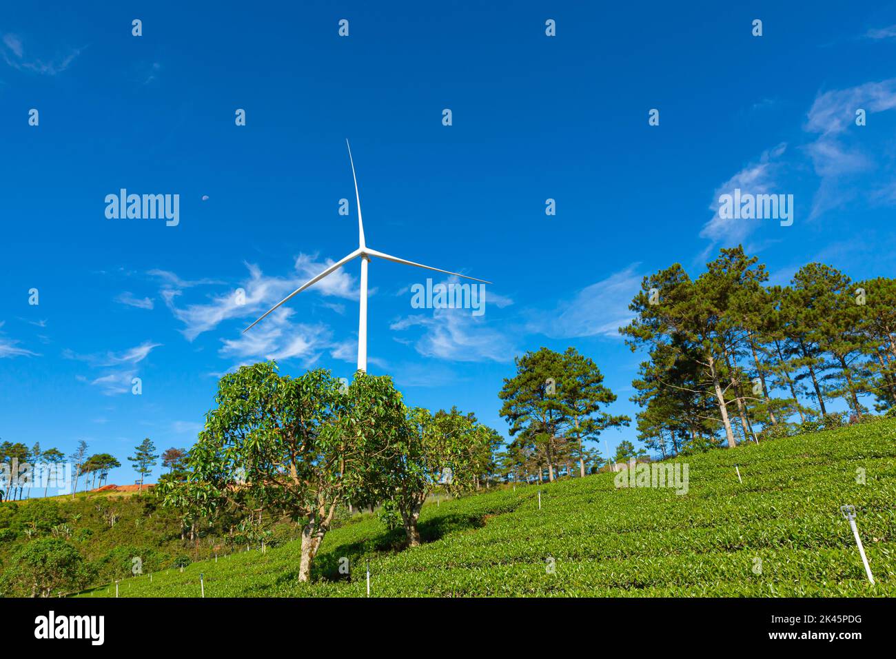 Renewable energy wind turbines windmill isolated on the beautiful blue ...