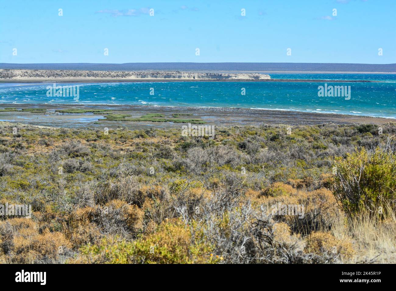 Caleta Valdes landescape, Peninsula Valdes chubut province Patagonia ...