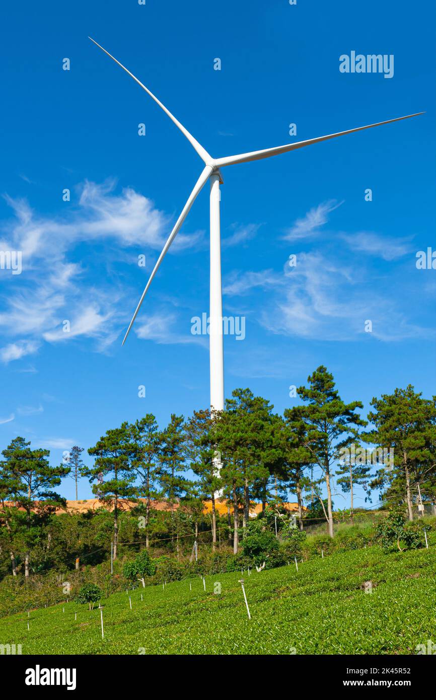 Renewable energy wind turbines windmill isolated on the beautiful blue ...