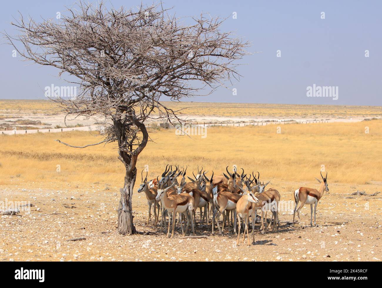 Sheltering desert hi-res stock photography and images - Alamy