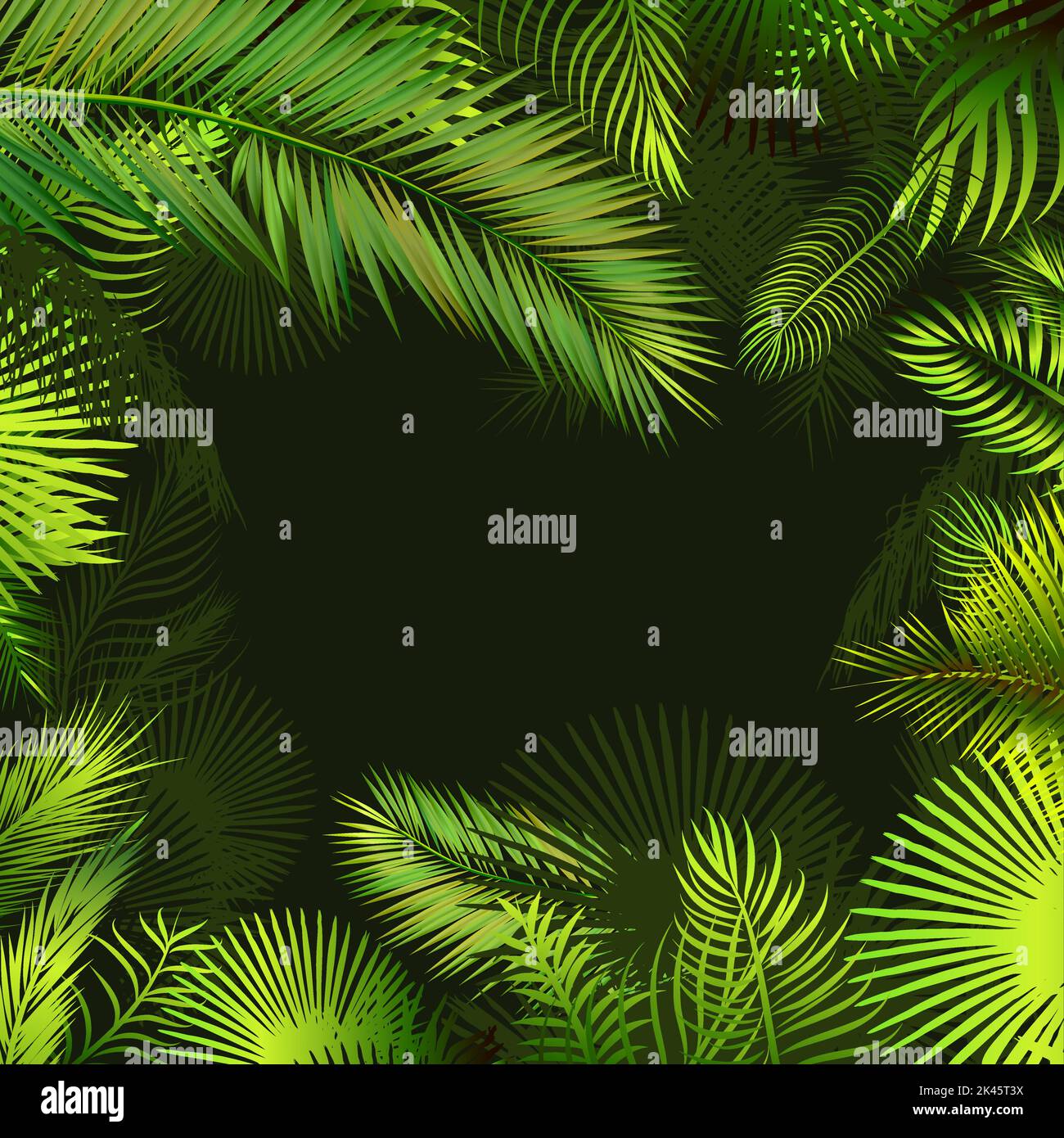 Tropical palm tree over Stock Vector Images - Alamy