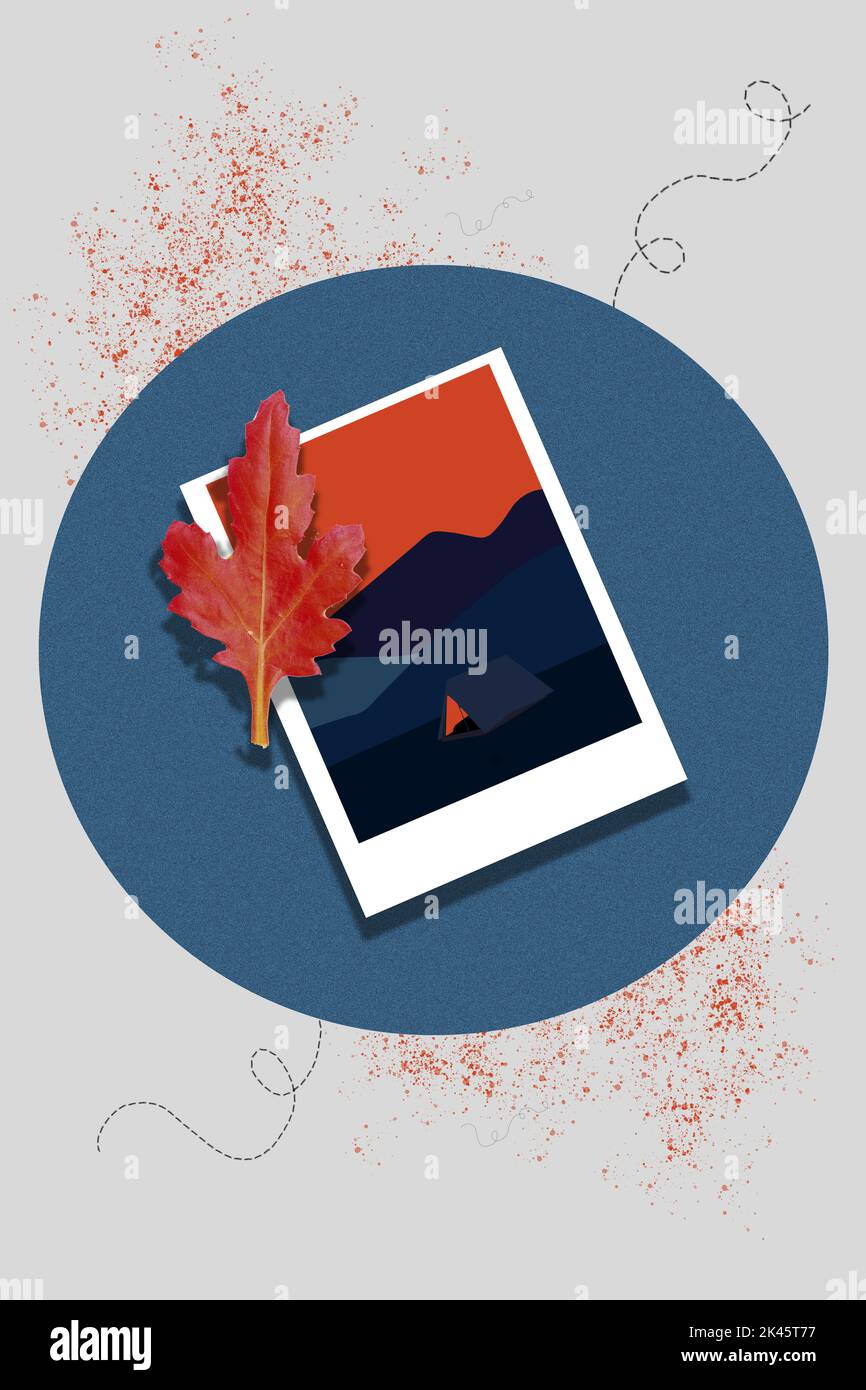 Vertical collage illustration of fallen leaf lying above instant photo ...