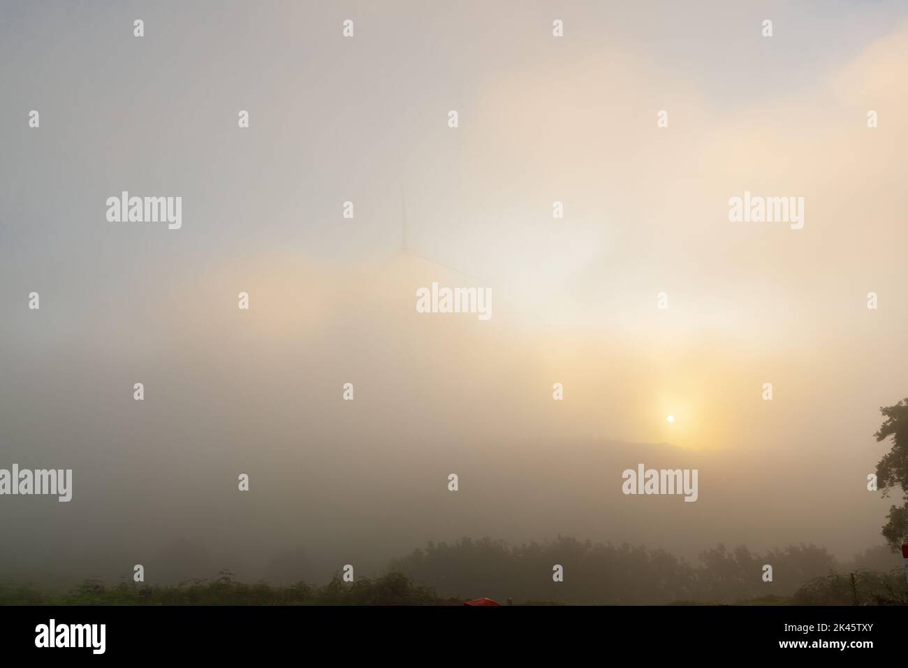 Fog sunbeam hi-res stock photography and images - Alamy