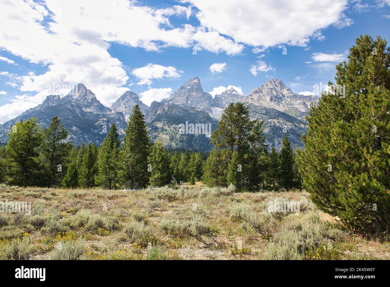 Landscape view of a field, trees, and the Teton Range in the background ...