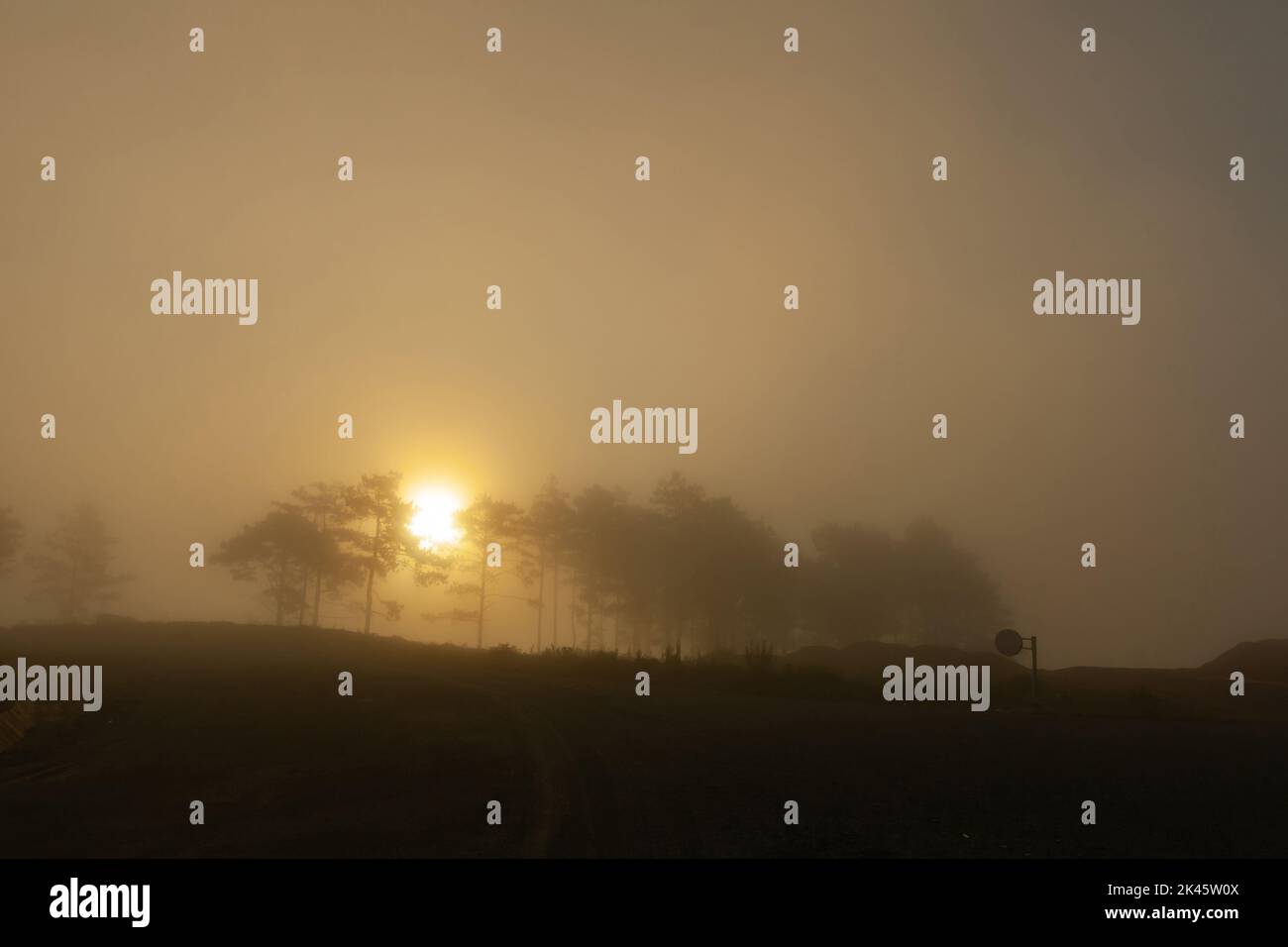 The sun shines through the fog in the early morning Stock Photo - Alamy