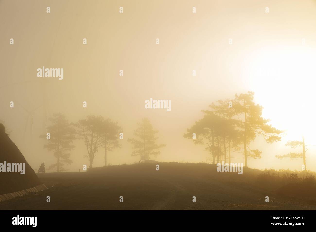Fog sunbeam hi-res stock photography and images - Alamy