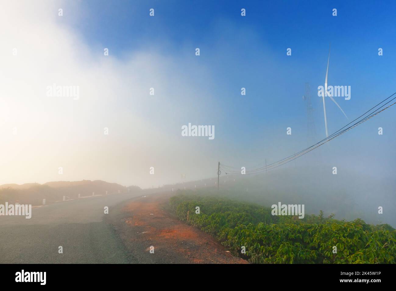 Renewable energy wind turbines windmill covered in fog in the early ...