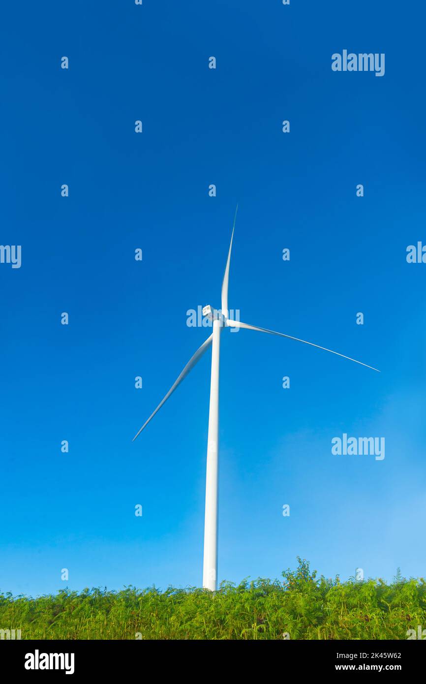 Renewable energy wind turbines windmill isolated on the beautiful blue ...