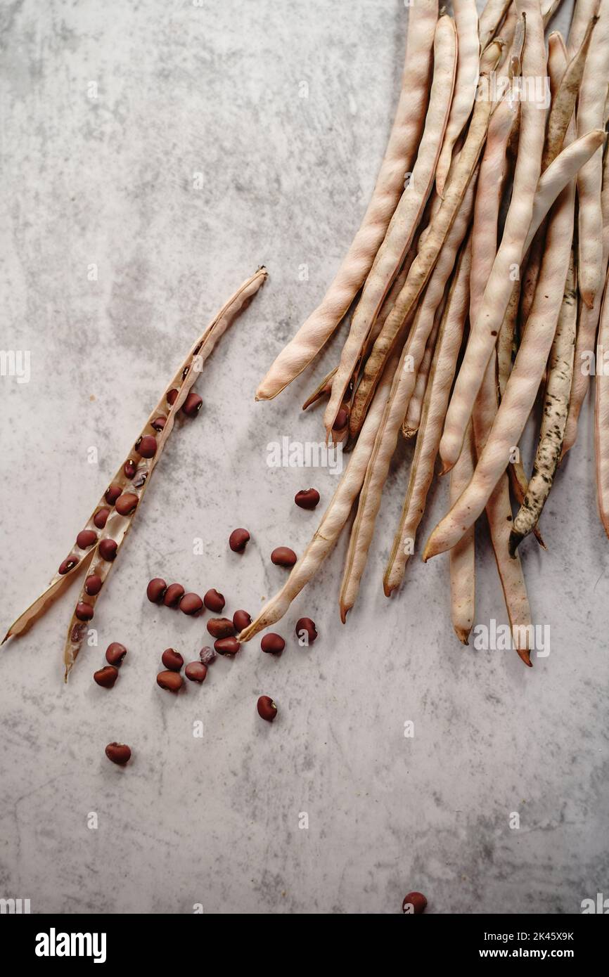 Seeds of dried green string beans, selective focus Stock Photo - Alamy