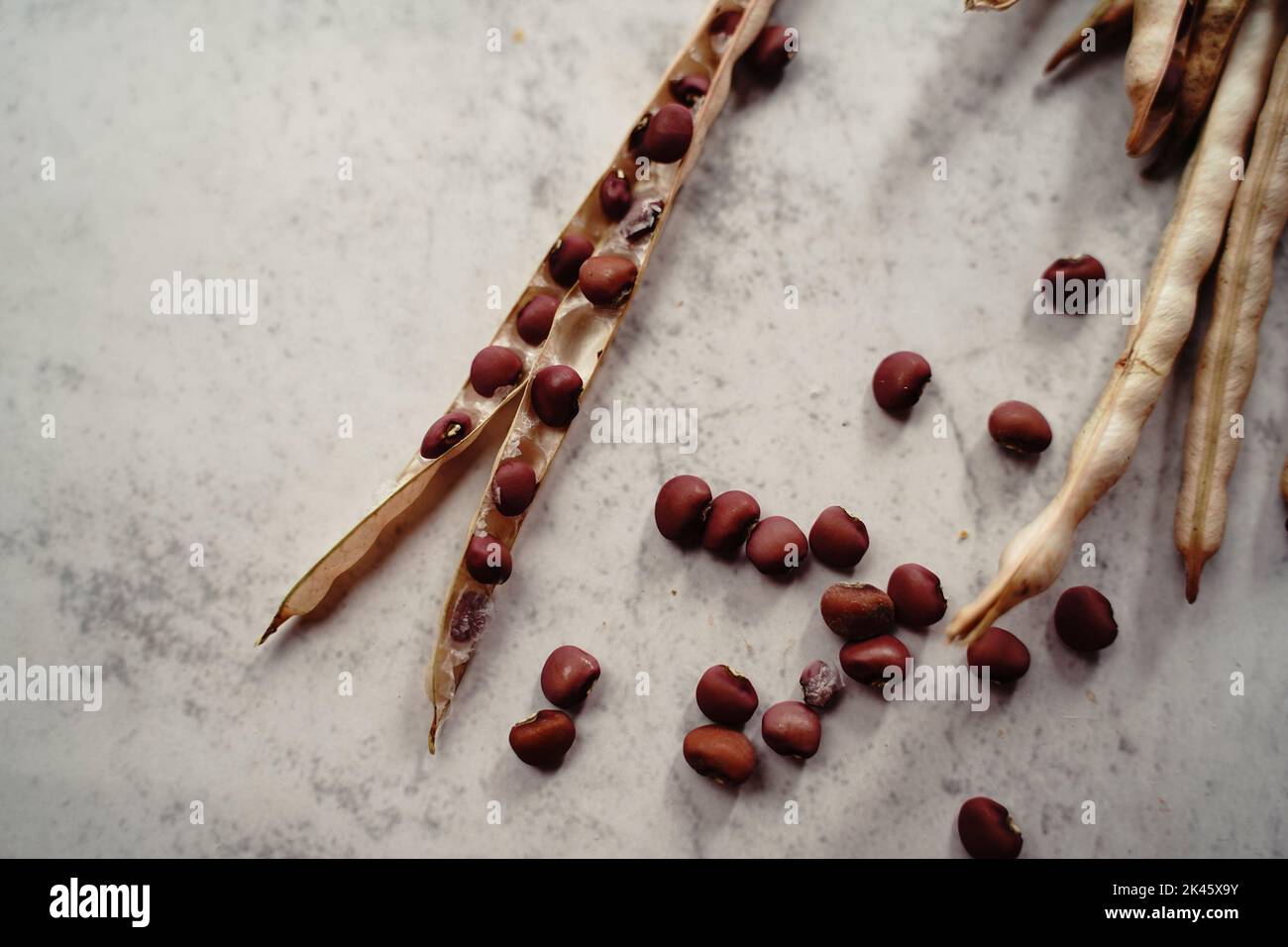 Seeds of dried green string beans, selective focus Stock Photo - Alamy