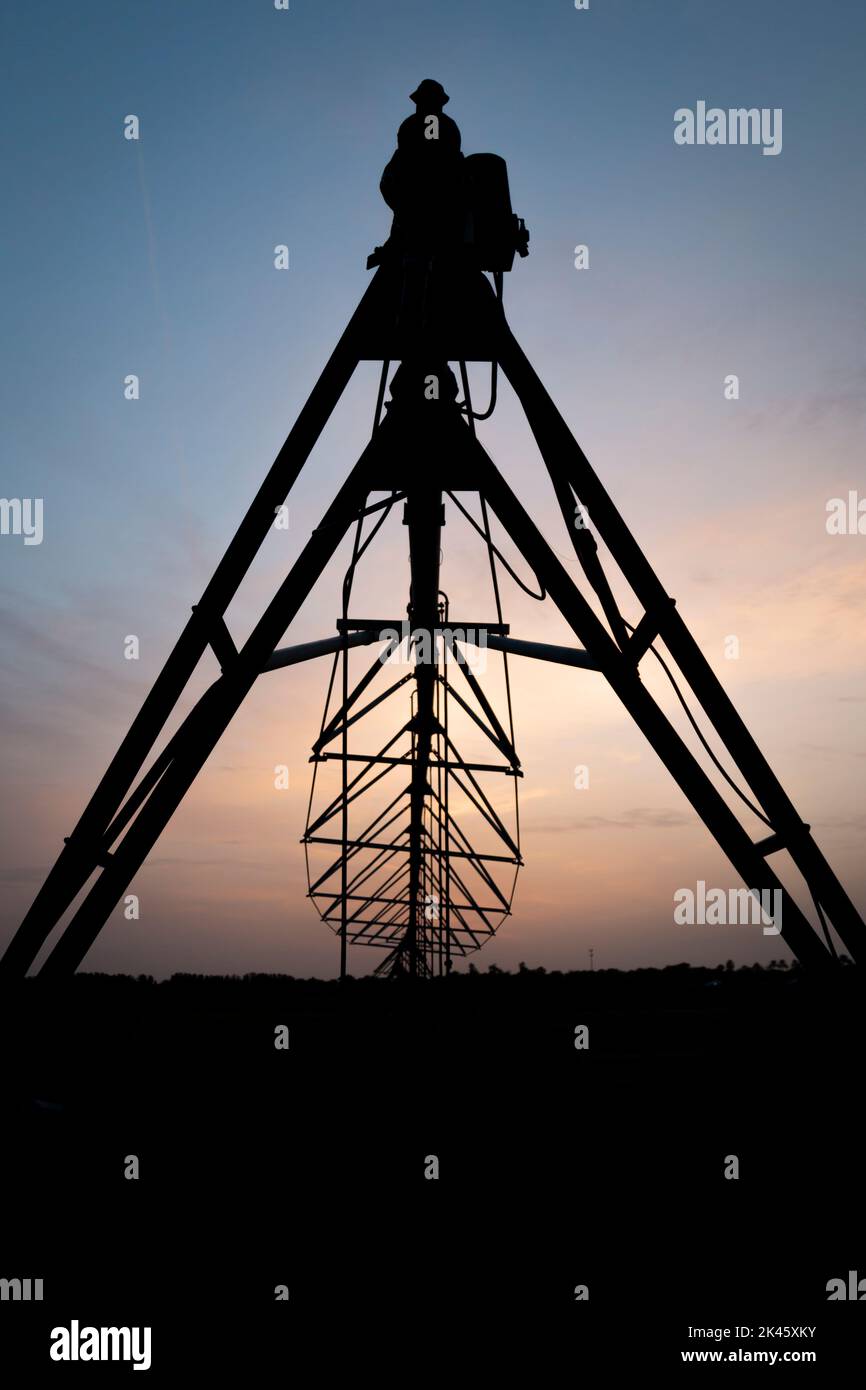 Field crop emirates hi-res stock photography and images - Alamy