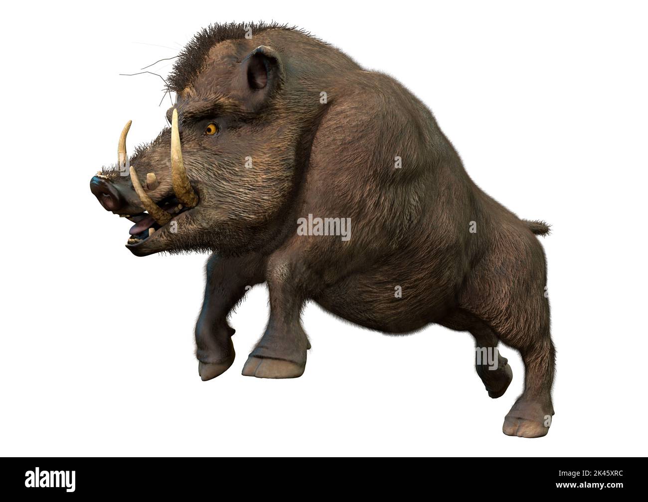 3D rendering of a wild boar isolated on white background Stock Photo ...