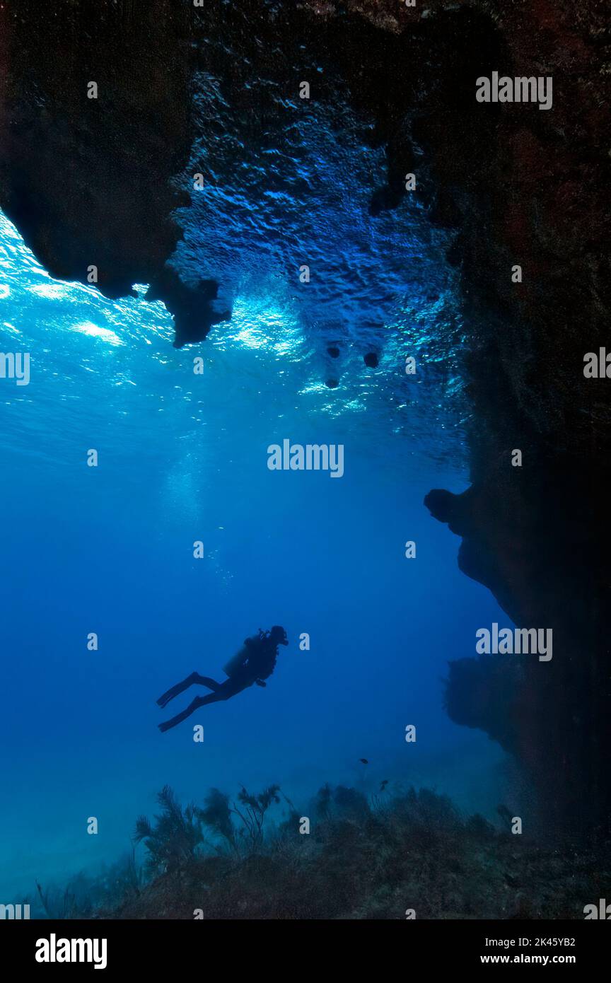 A scuba diver swims by the opening of a large cave, relaxing as the ...