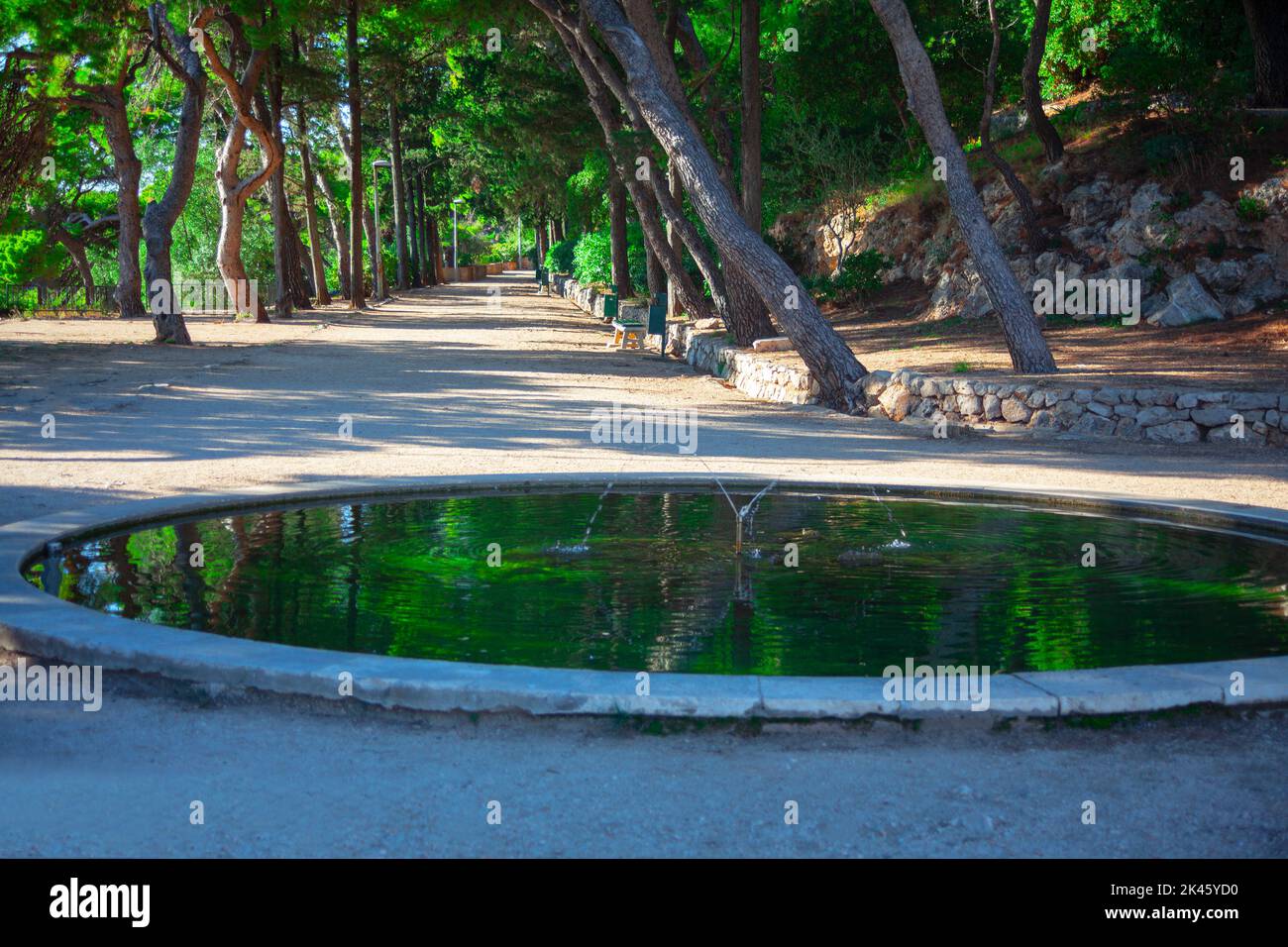 Gradac Park in Dubrovnik Croatia . Fountain in the coniferous park ...