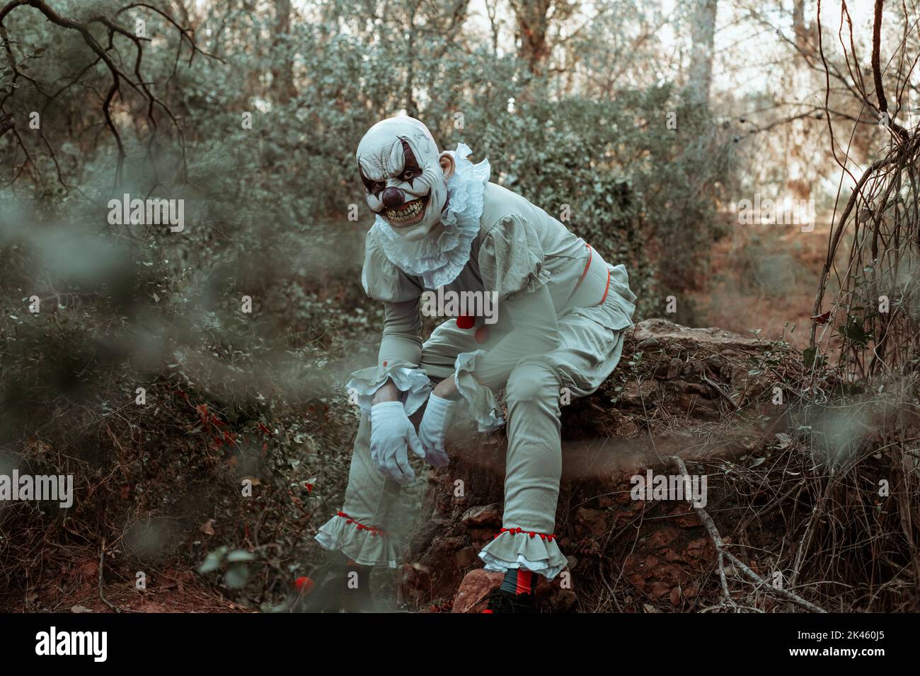 a scary evil clown, in a gray costume with a white ruff, and some ...