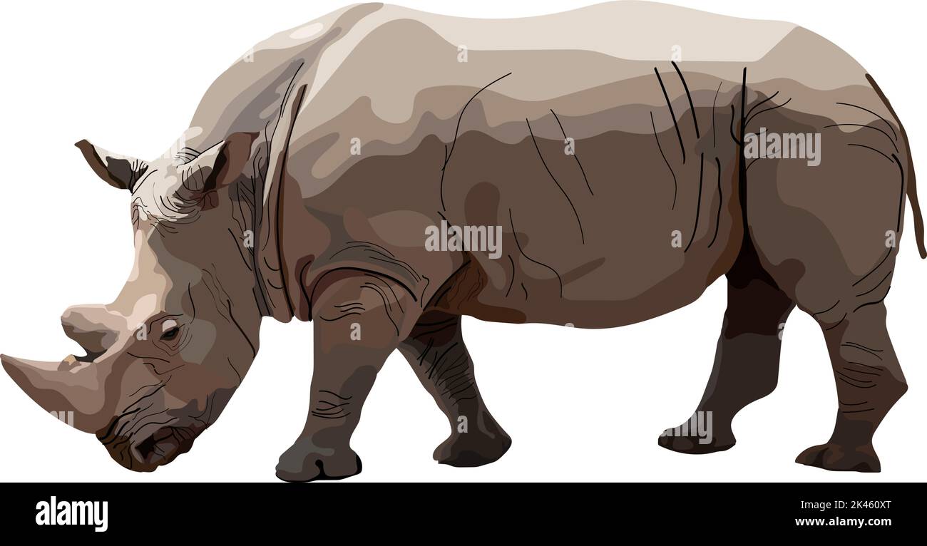 Rhinoceros realistic icon vector illuctration wild animal Stock Vector ...