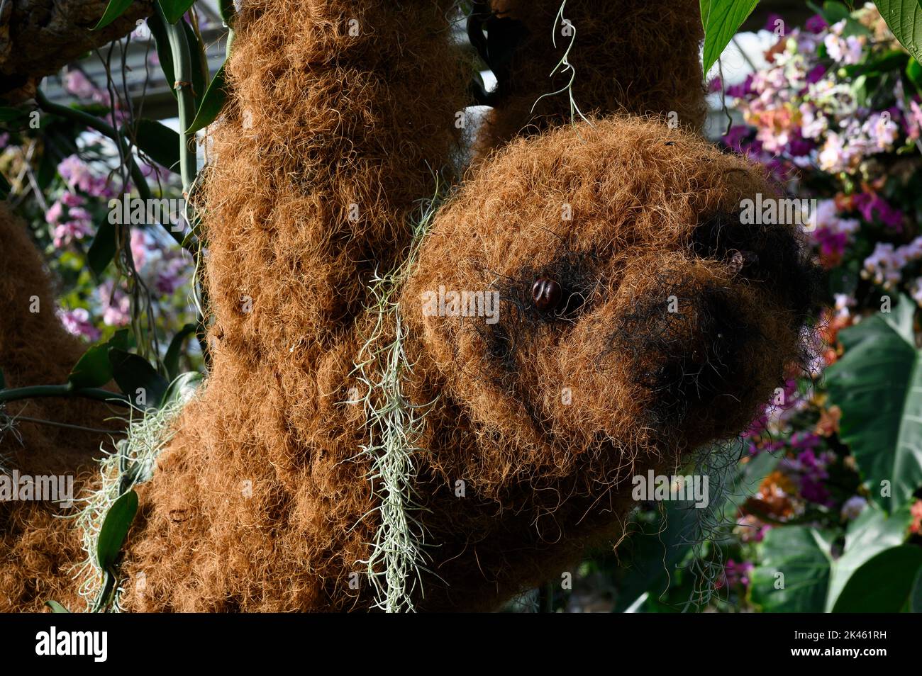 moss sloth sculpture at 2019 Orchid Festival at Kew Gardens Stock Photo ...