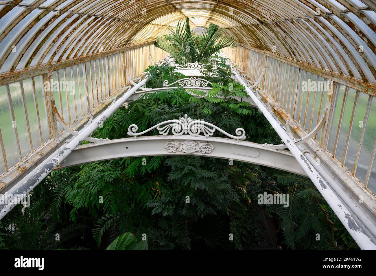 Palm House at Kew Gardens Stock Photo - Alamy