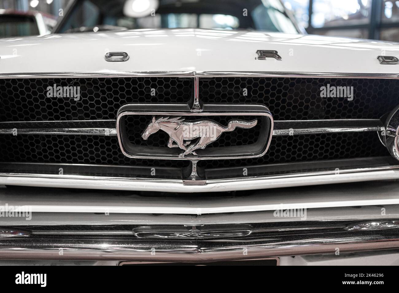 Ford Mustang metallic logo on car front grille Stock Photo - Alamy