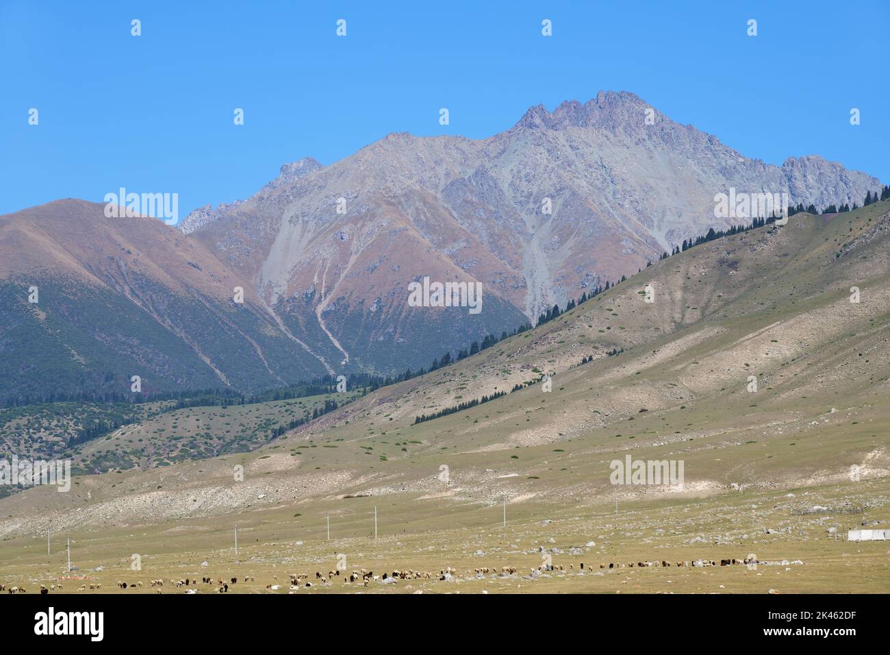 Tian-Shan Mountains. Semyonovskaya Gorge, venue for the International ...