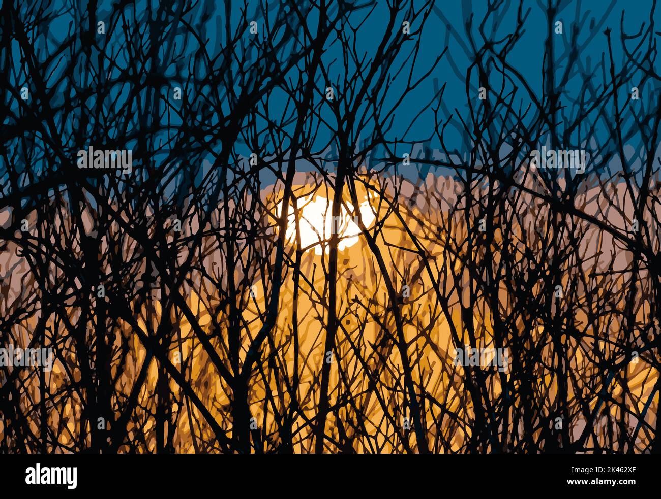 many dry branches of a dead tree, The background is the sky and the evening sun and the sky ...
