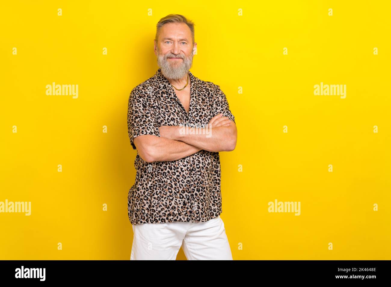 Photo portrait of handsome granddad folded arms shopping promo model ...