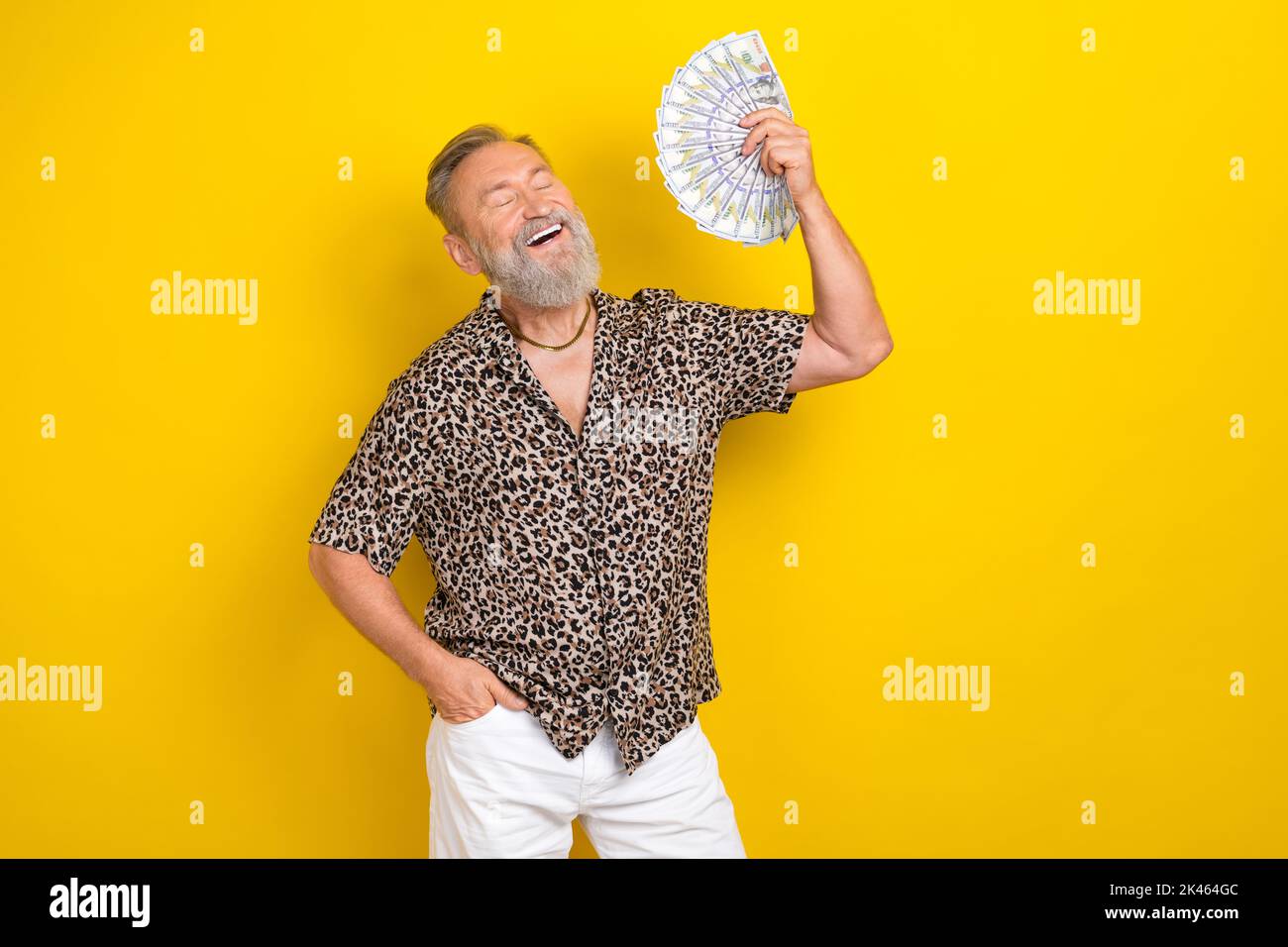 Photo portrait of handsome granddad wave banknotes fan hot weather wear ...