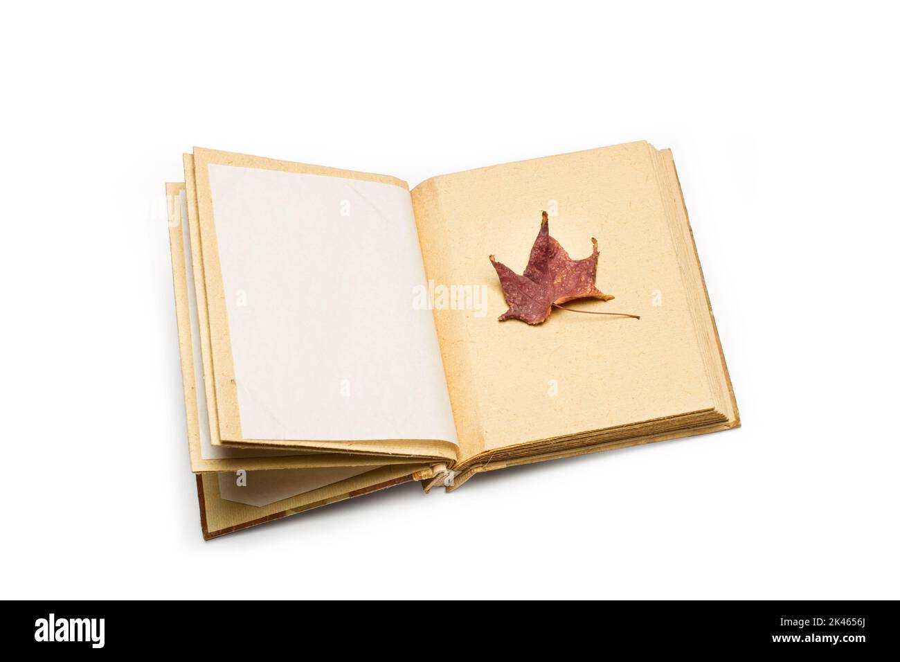 Dry sweet gum tree leaf on an open old photo album with copy space ...