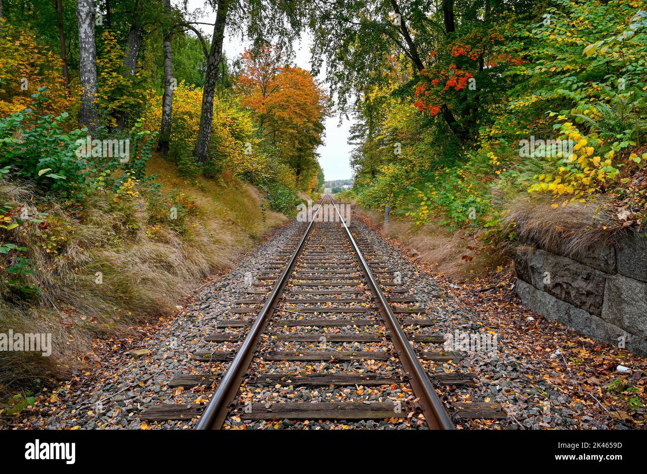 Railway with autumn trees on the sides Stock Photo - Alamy