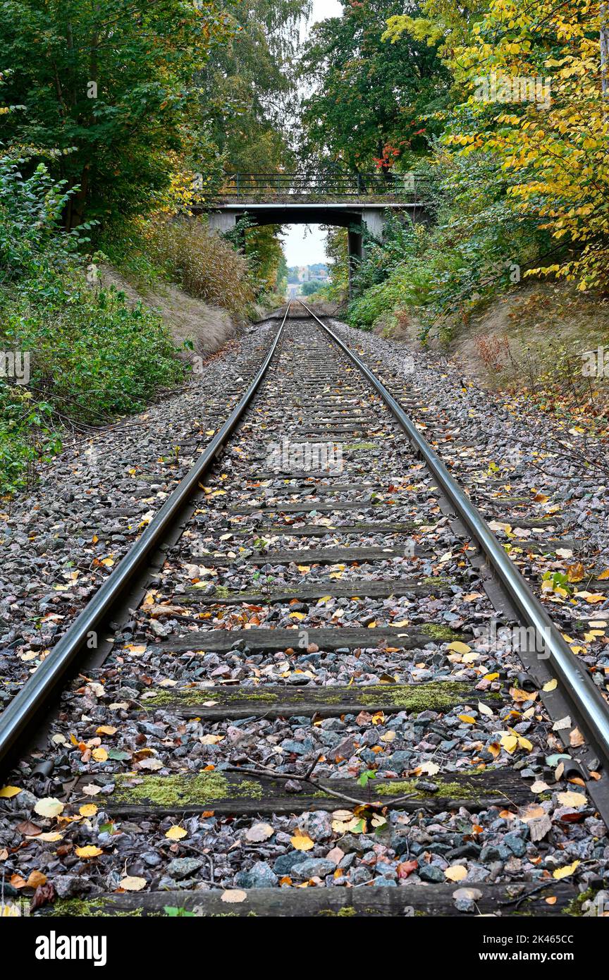 Railway with autumn trees on the sides Stock Photo - Alamy