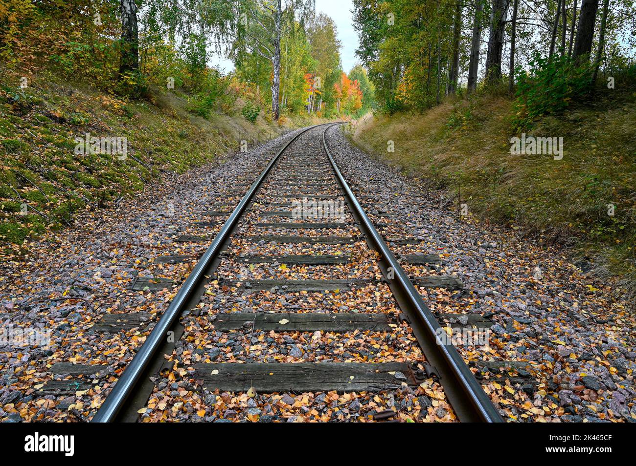Railway with autumn trees on the sides Stock Photo - Alamy