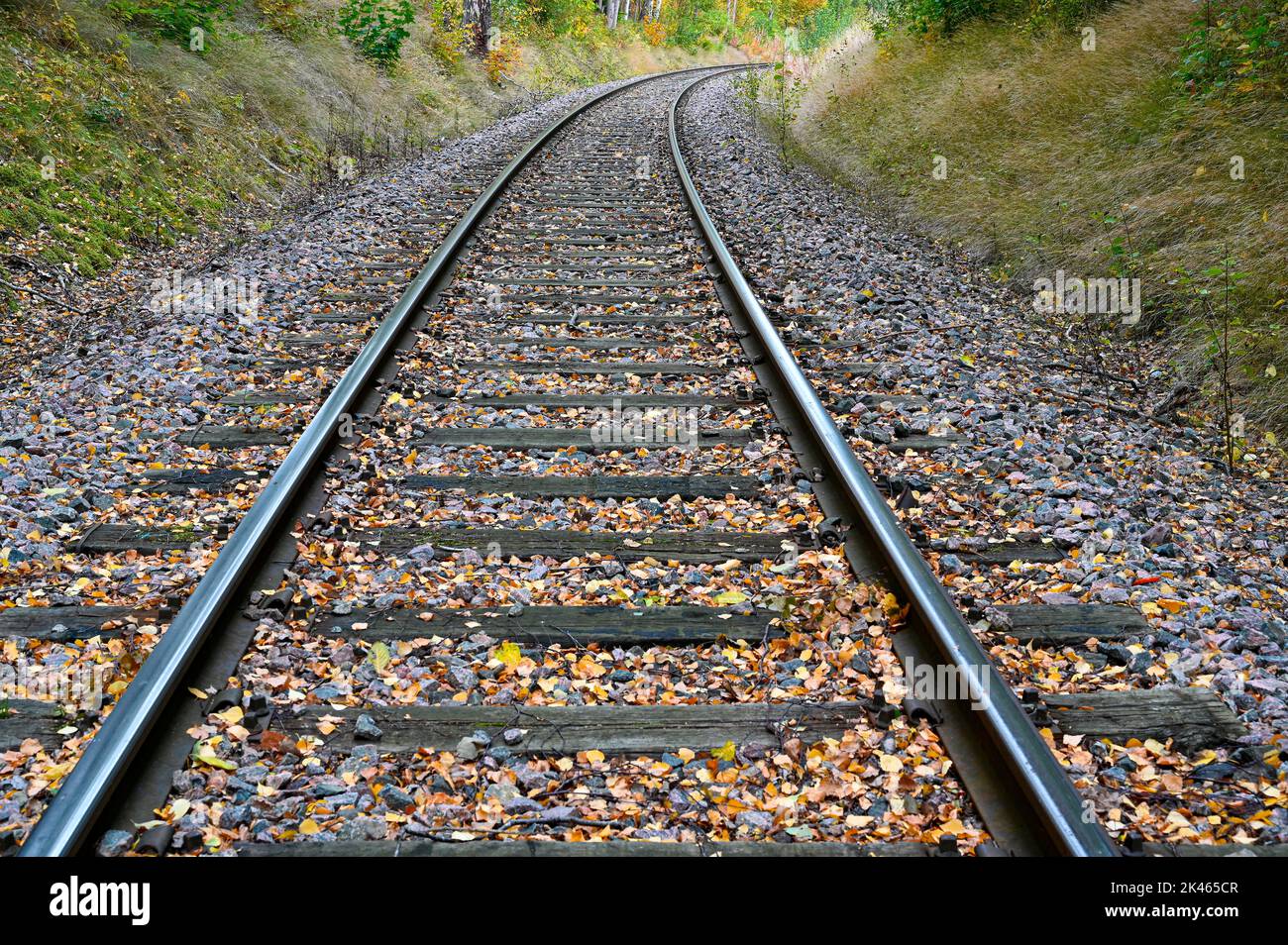 Railway with autumn trees on the sides Stock Photo - Alamy