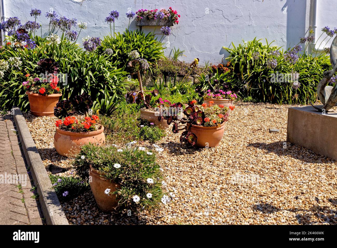Beautiful cornish garden hi-res stock photography and images - Alamy