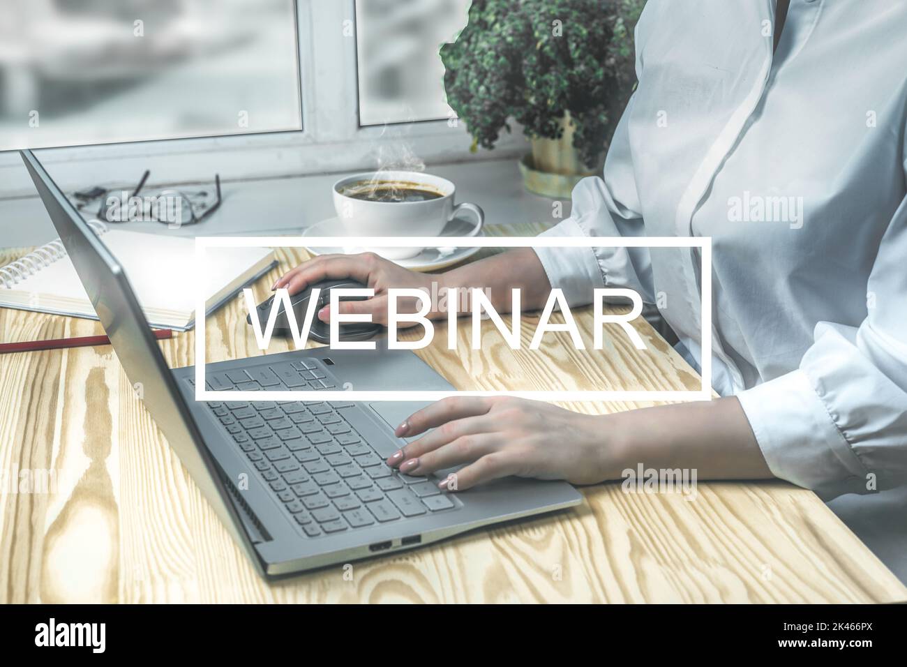 Webinar, Online training session or corporate online meeting. woman at ...