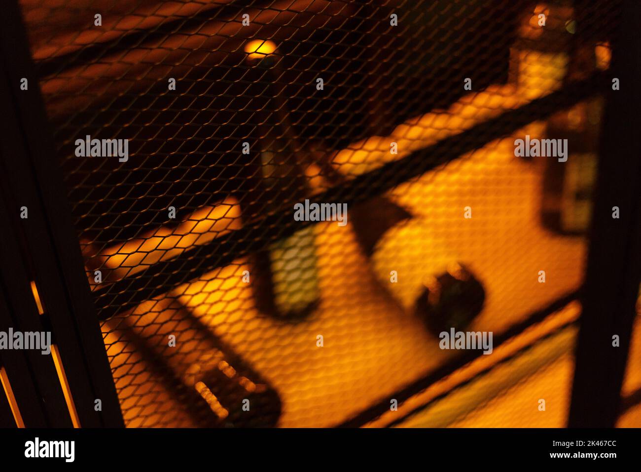Wooden box with empty wine bottles, bottles blurred Stock Photo - Alamy