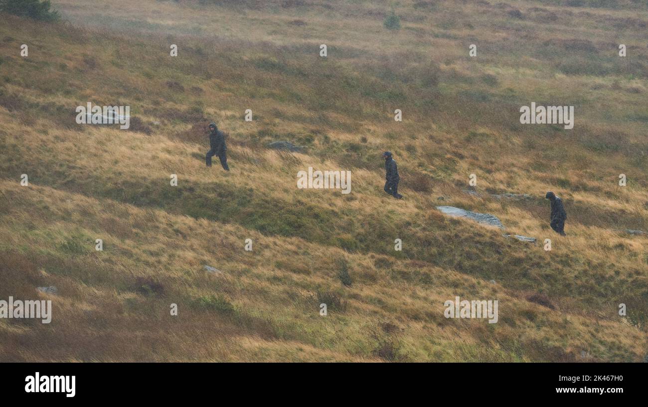 Police search an area on Saddleworth Moor, in north west England, in ...
