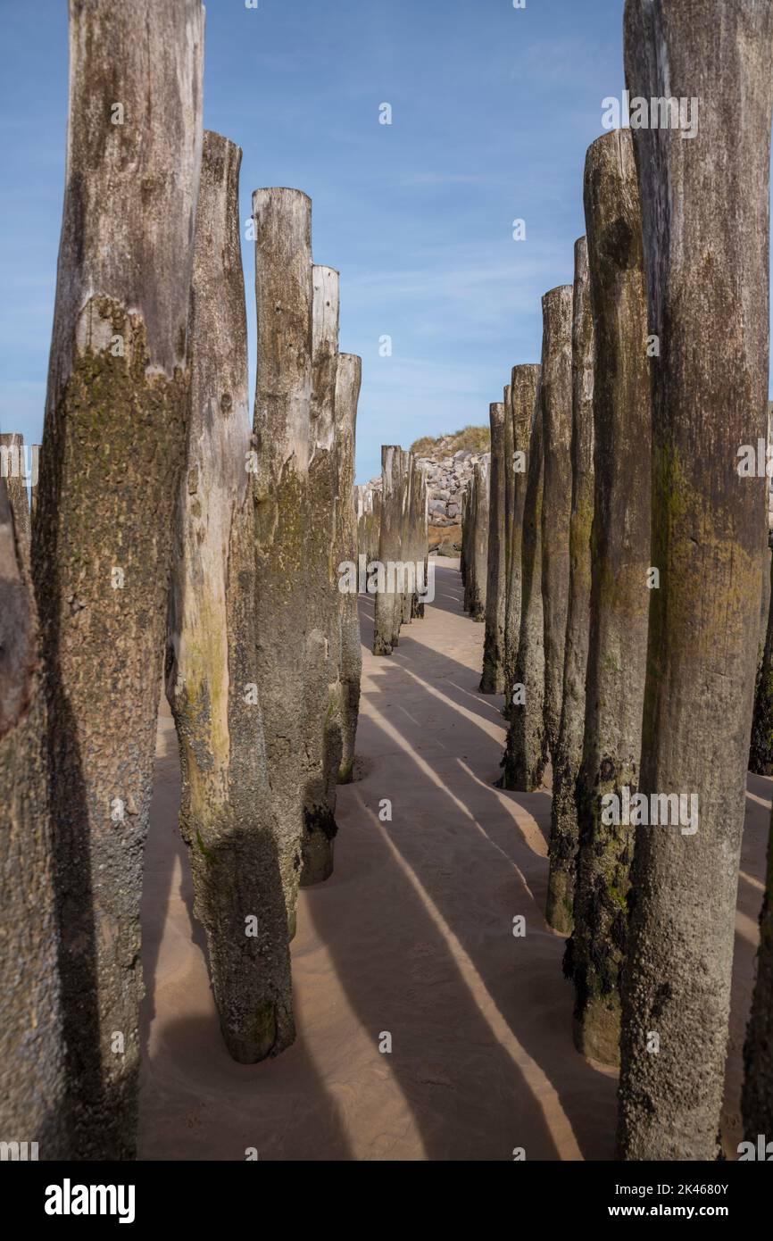 Wooden poles on the beach hi-res stock photography and images - Alamy