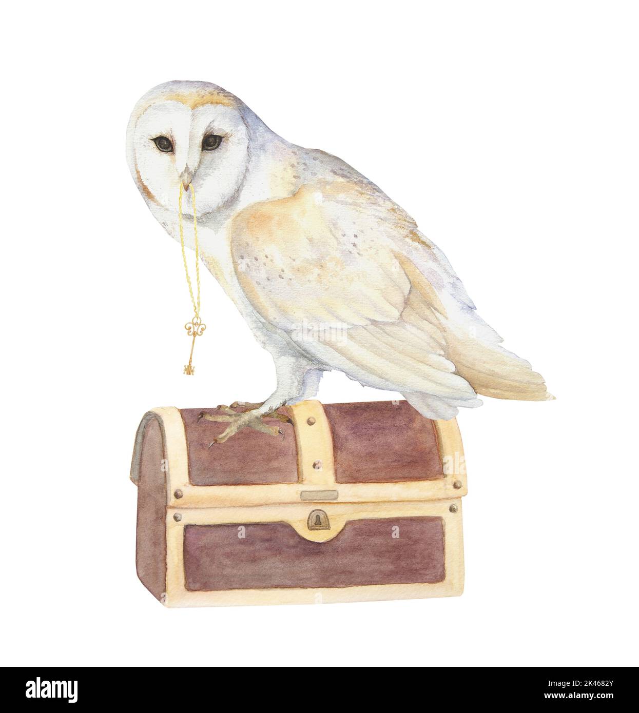 Watercolor illustration of owl with key on chest isolated Stock Photo ...