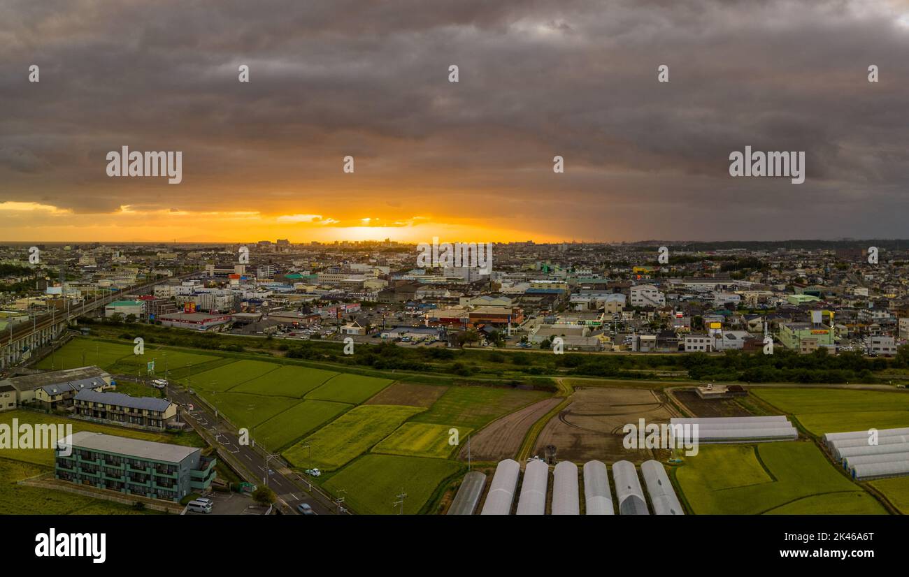 Aerial view of rice fields next to town under storm clouds at sunset ...