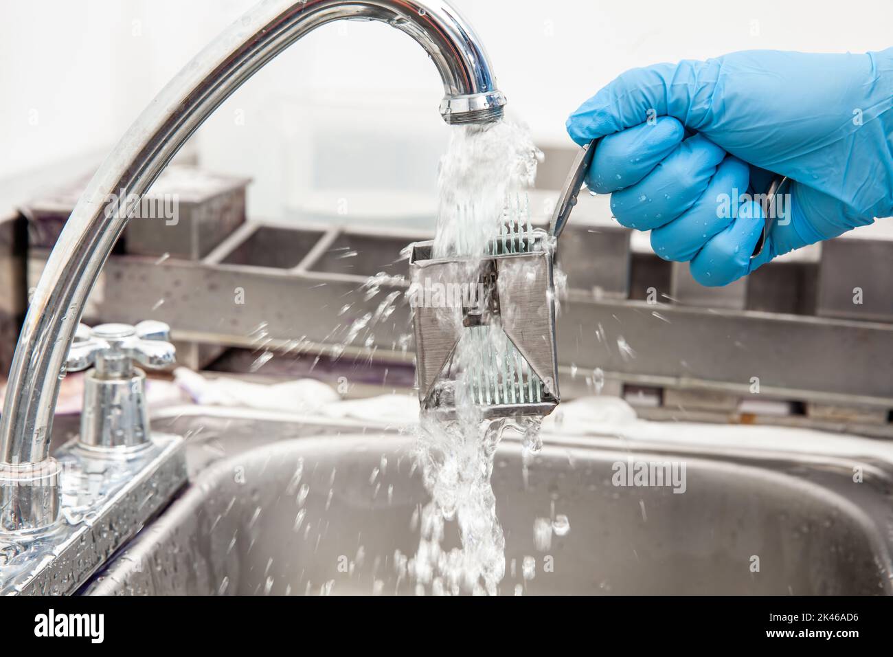 Scientist dewaxing paraffin embedded tissue samples in the laboratory ...