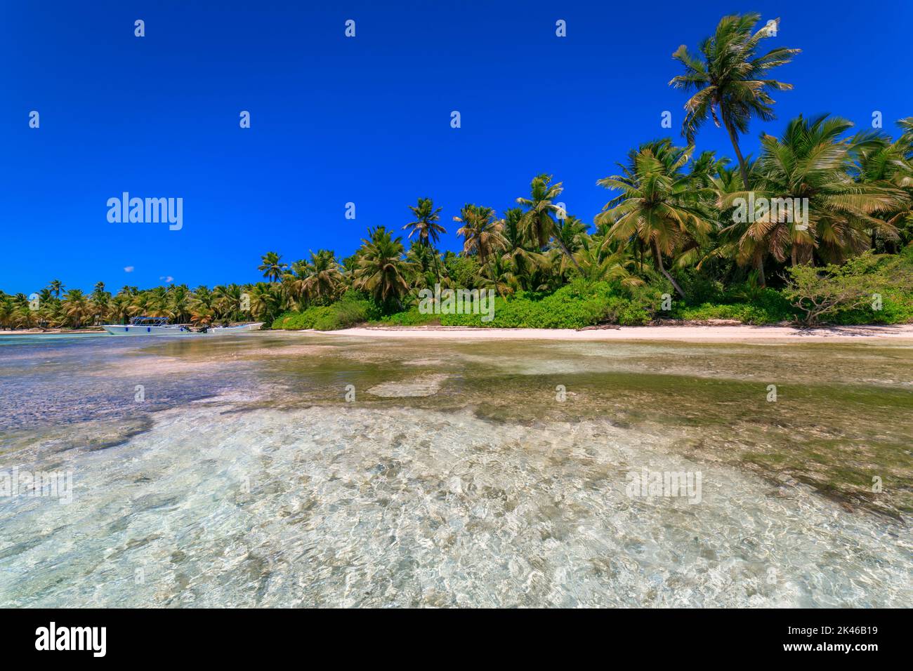 Tropical idyllic caribbean beach with palm trees, Punta Cana, Dominican ...