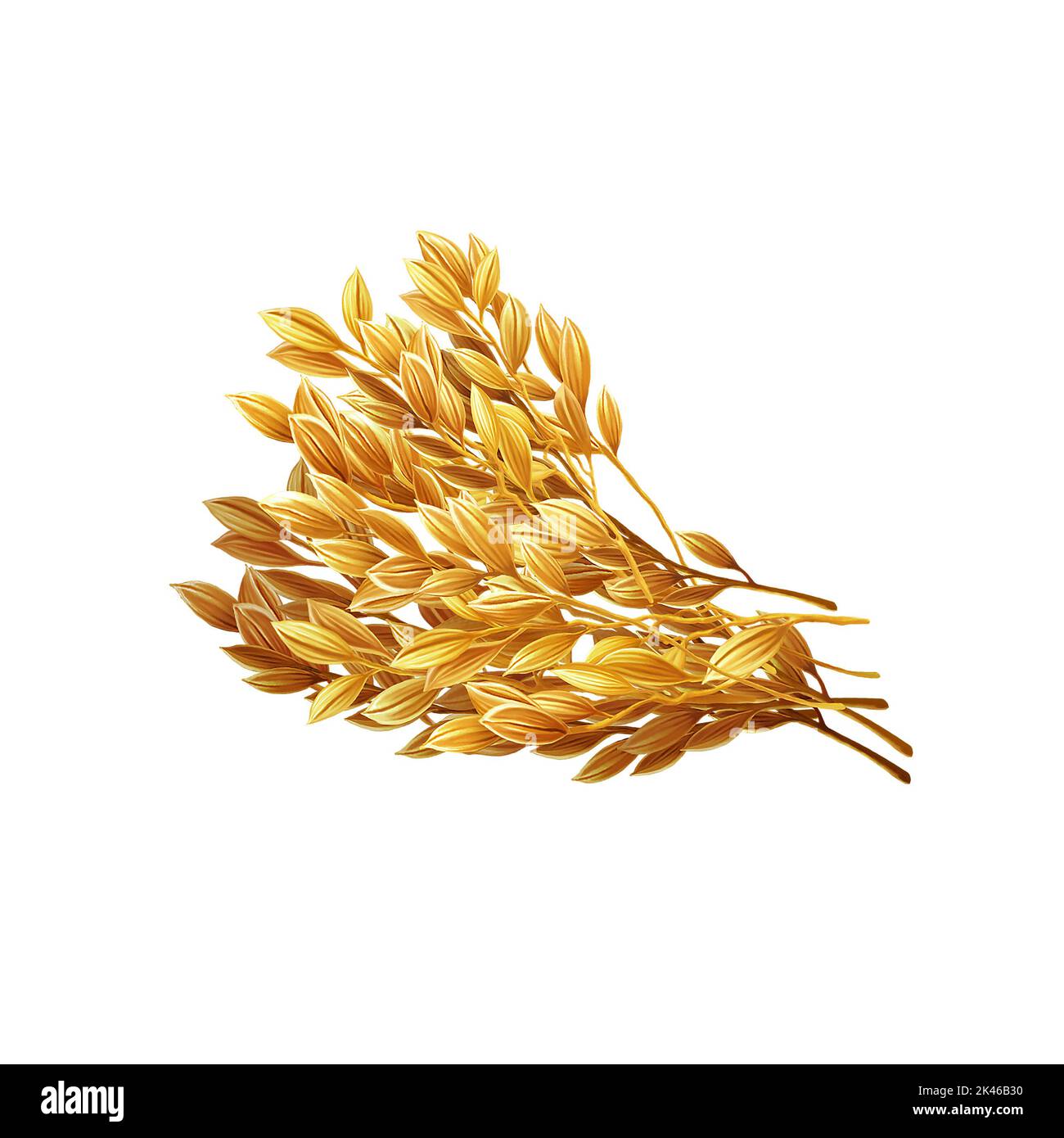 Rice plant illustration Stock Photo - Alamy