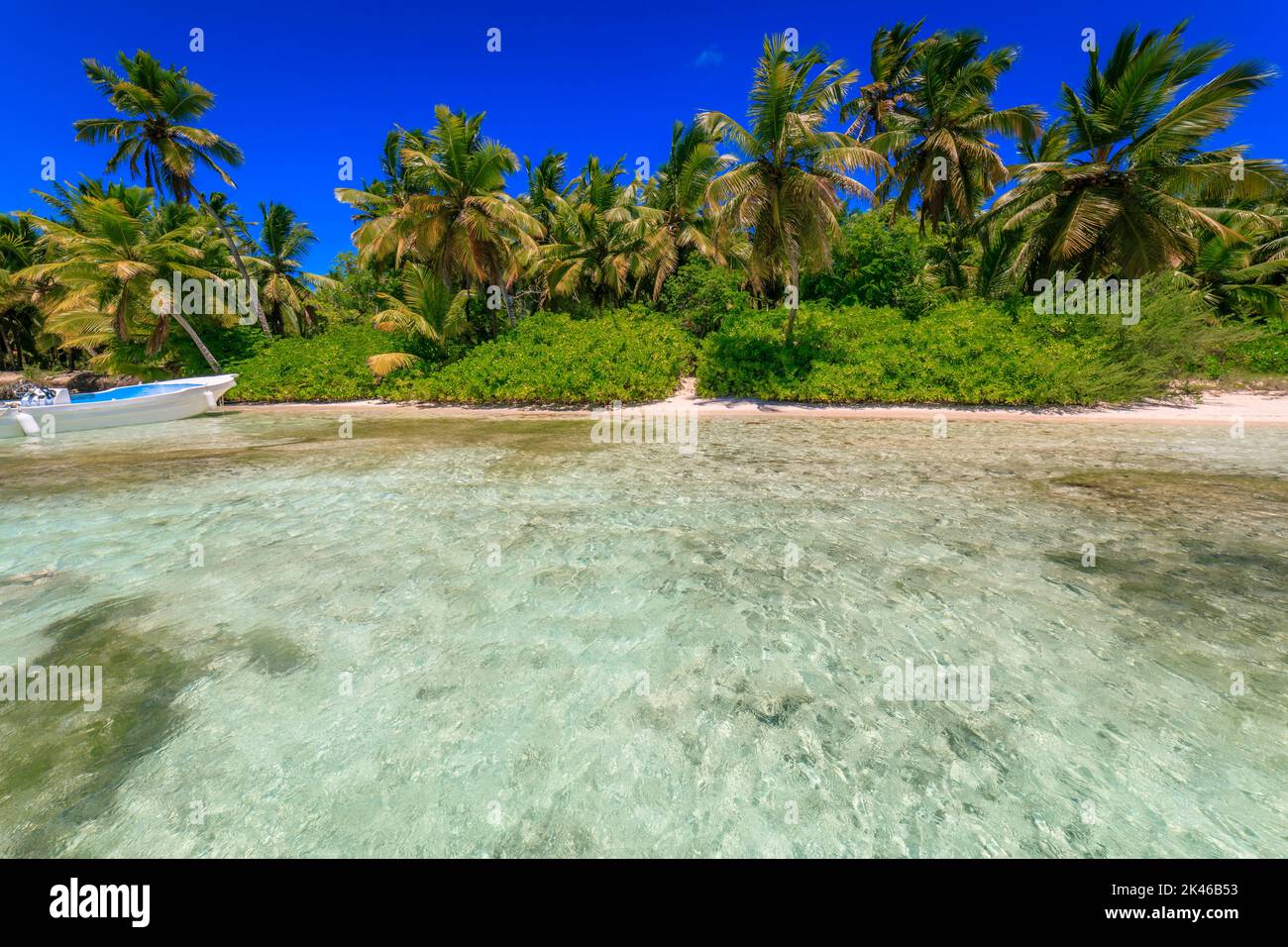 Tropical idyllic caribbean beach with palm trees, Punta Cana, Dominican ...