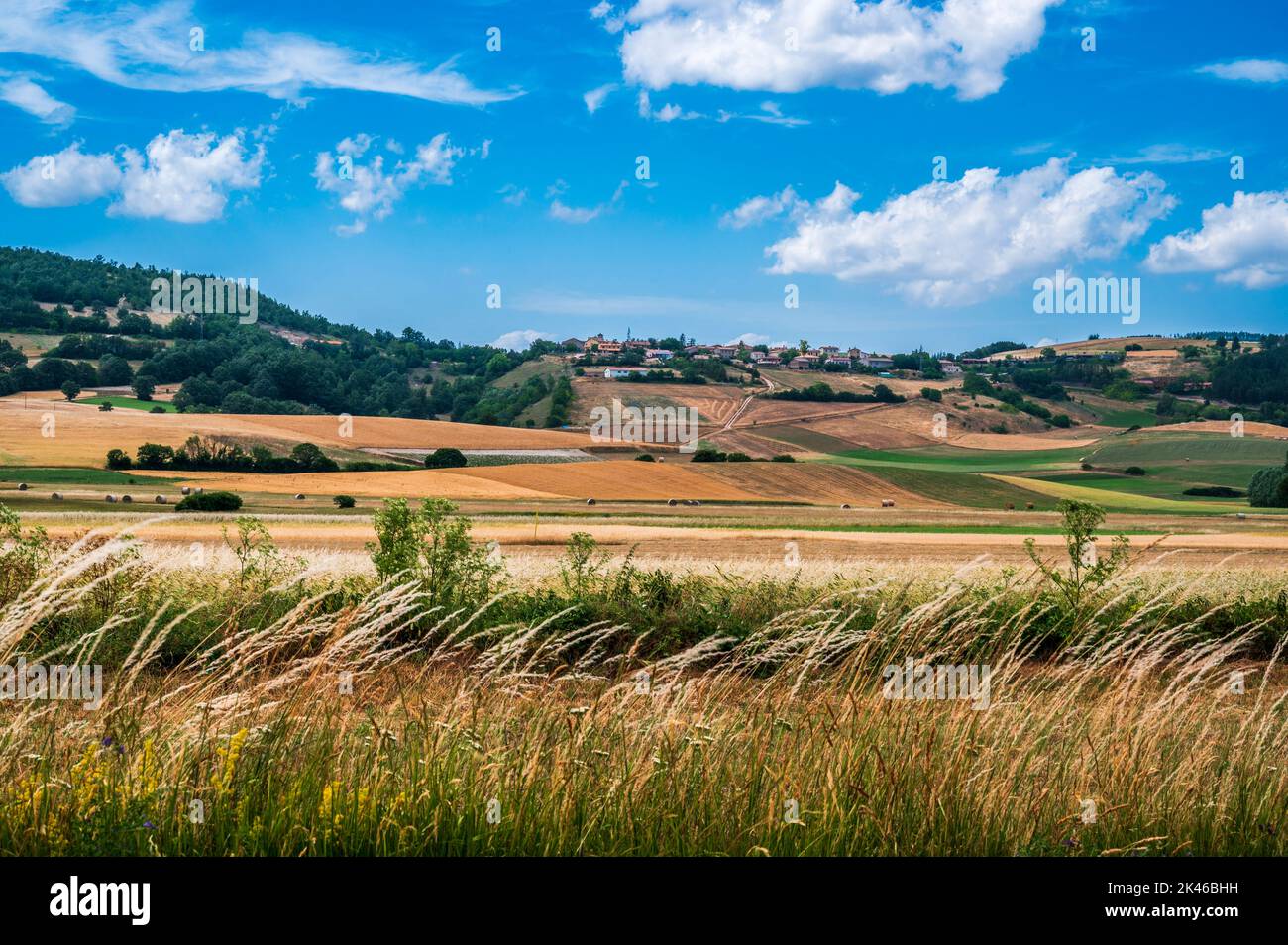Colfiorito. Fields of flowers and nature of Umbria Stock Photo - Alamy